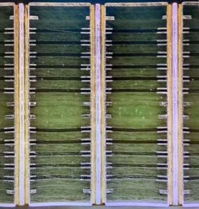 Single Point Ground: A Crucial Concept in PCB Design